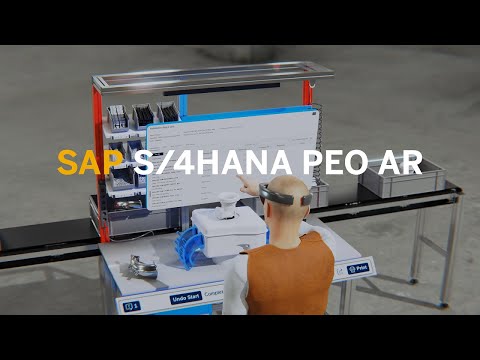 UX Case Study S/4HANA PEO AR