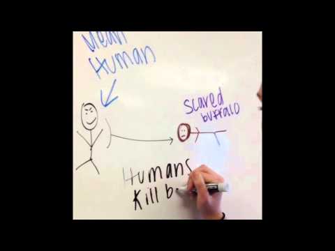 How Do Humans Effect The Temperate Grassland Biome?