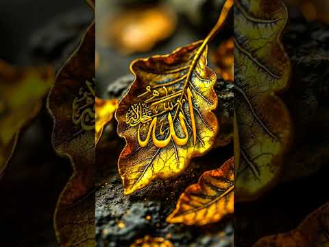 Quran Recitation in urdu translation #quran #quranandhadith #quranrecitation #quraninurdu