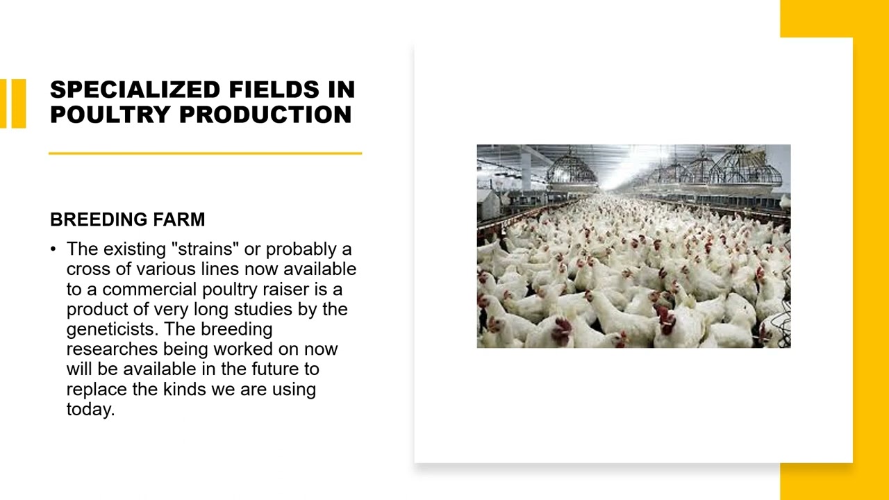 SPECIALIZED FIELDS IN POULTRY PRODUCTION