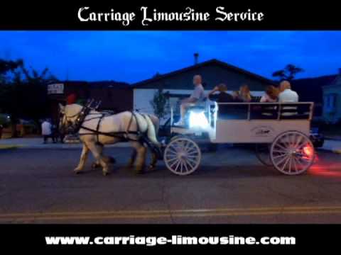 Horse and Carriage - Carriage Rides - Limousine Carriage 7 - Carriage Limousine Service