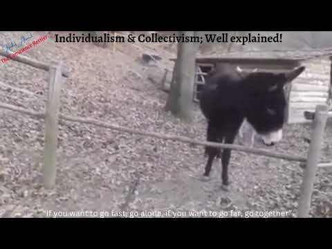 Individualism vs collectivism well explained
