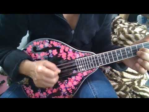 BEAUTIFUL SAKURA HAND-PAINTED A-STYLE BLACK MANDOLIN **SEE | Reverb