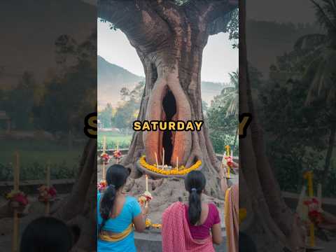 Why Hindus worship Peepal tree on Saturdays #facts