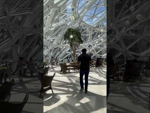 Amazon Spheres inside look #amazon #spheres #day1 #seattle #work #office #green