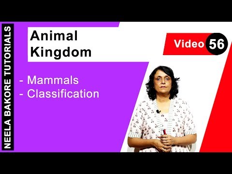 Animal Kingdom | NEET | Mammals - Classification | Neela Bakore Tutorials