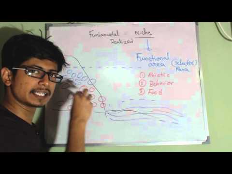 Fundamental niche vs realized niche