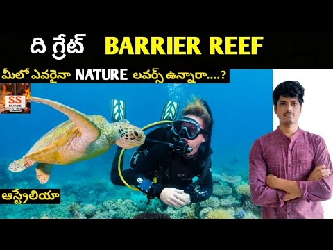 World's largest coral reef The Great Barrier Reef explain in telugu by SS FRANKS TELUGU.....