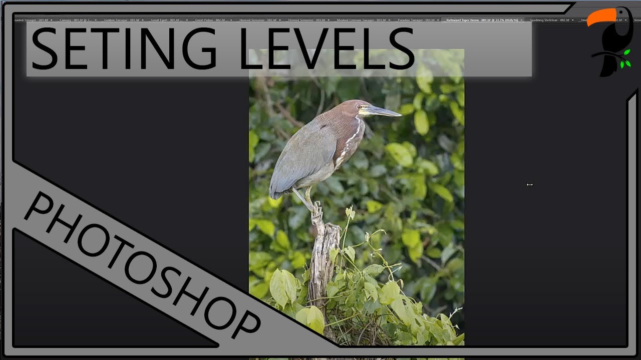 Post Processing - Setting Levels Properly