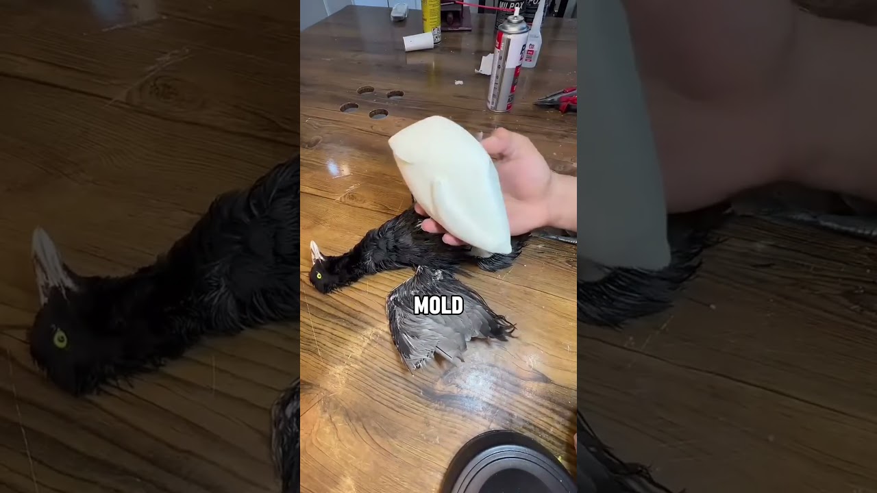 He's Turning a Chicken Into Art(@brionnafun)