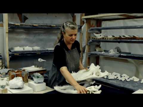 Arts/Industry: Adrian Van Allen, 2016