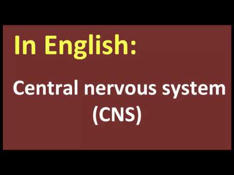 Central nervous system CNS arabic MEANING