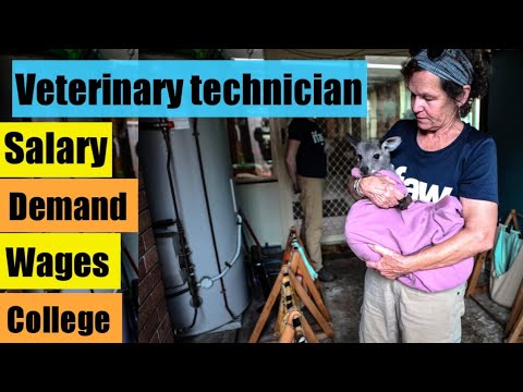 Veterinary technician in Canada - salary wage college job demand diploma in Veterinary technician