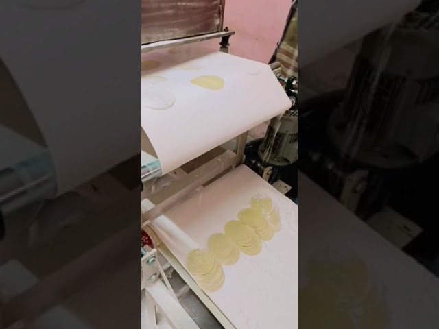 PAPPADAM MAKING MACHINE - Semi Auto Papad Machine IN ARUPPUKOTTAI ...