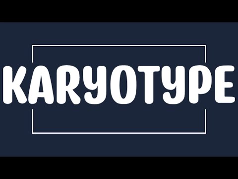 Karyotype - Meaning and Pronunciation