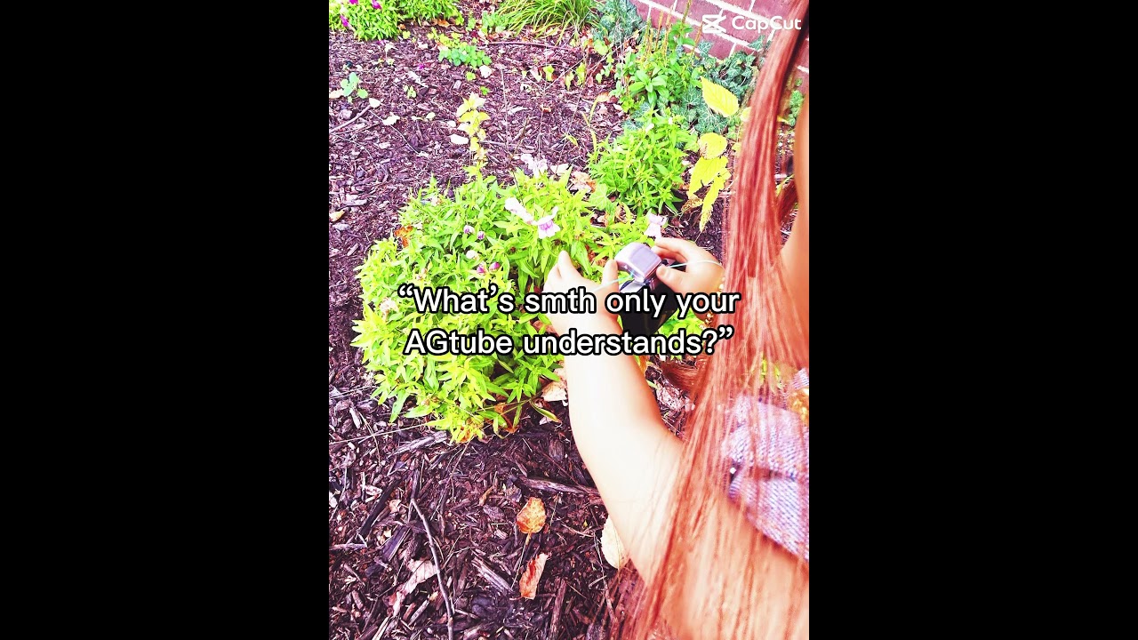 #memes #bringbackagtube #funny #agtuber #agtube #relatable #scroll