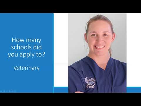 Medical School vs. Veterinary School: What You Should Know Before You Apply