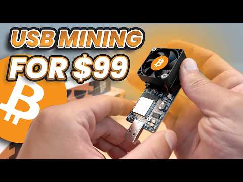 $99 USB Stick Bitcoin Miner?! Bitaxe Disruptor Review