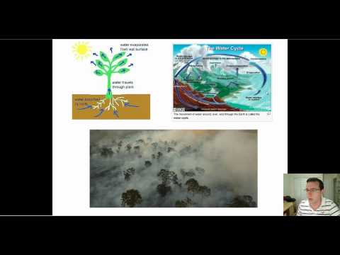 Climate Factors: Life