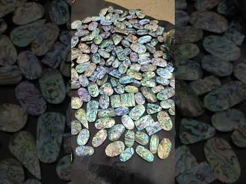 Abalone Shell Cabochons