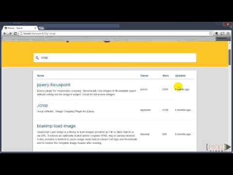 Learn Mastering MEAN Web Development Tutorial Bower Search | packtpub com - Mind Luster