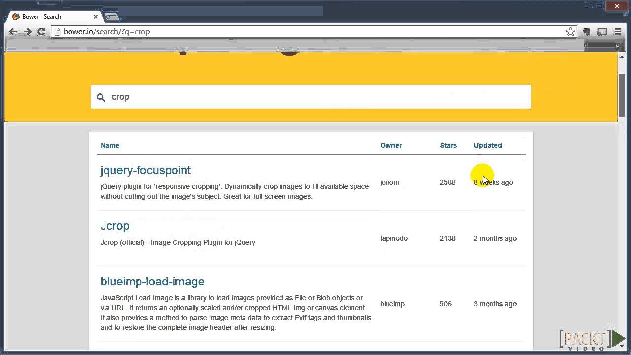 Mastering MEAN Web Development Tutorial: Bower Search | packtpub.com