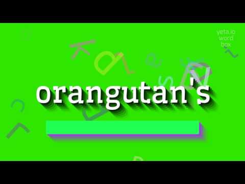 HOW TO PRONOUNCE ORANGUTAN'S? #orangutan's