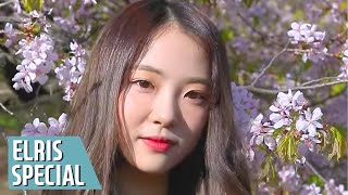 [MV] 엘리스 혜성 - 금요일에 만나요 (Cover ver.) - 인스티즈(instiz) 인티뮤직 (종료) 카테고리