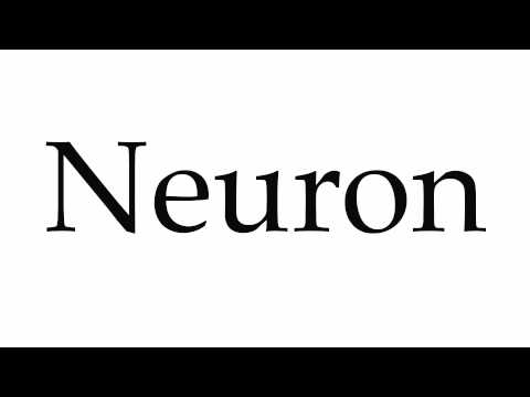 How to Pronounce Neuron