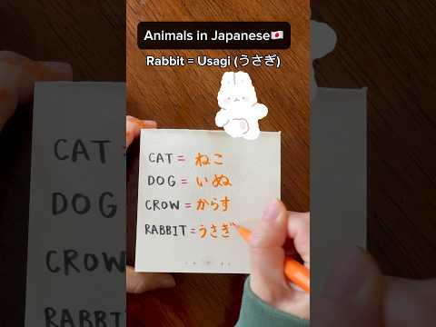 How to say and write ANIMALS in Japanese | Cat, Dog, Crow, Rabbit | #japaneselanguage #japanesewords