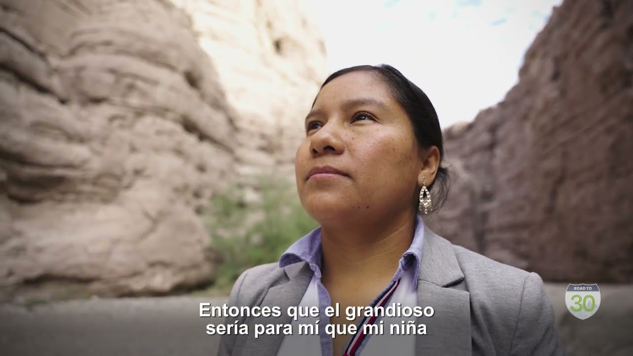 Postal de Película Chuckwalla