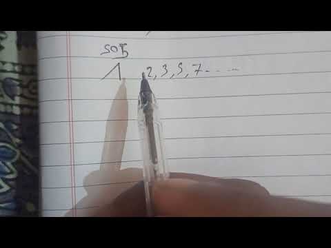 factor tree of 505 | prime factor tree |