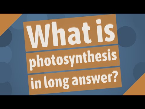 What is photosynthesis in long answer?