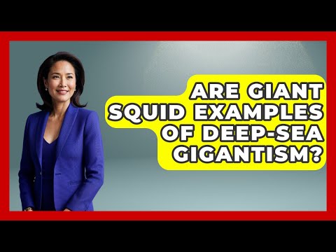 Are Giant Squid Examples Of Deep-Sea Gigantism? - The Marine Life Explorer