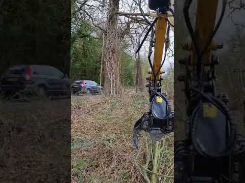 3 ton Forestry Excavator and Tree Shear
