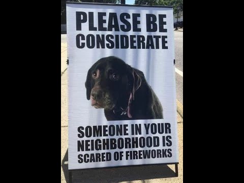 Separation Anxiety Disorder in Pets
