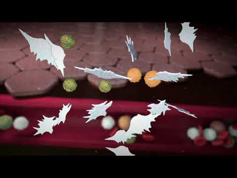 An Animated Exploration of CF-ILD: From Diagnosis to Management in the Era of Antifibrotic Therapy