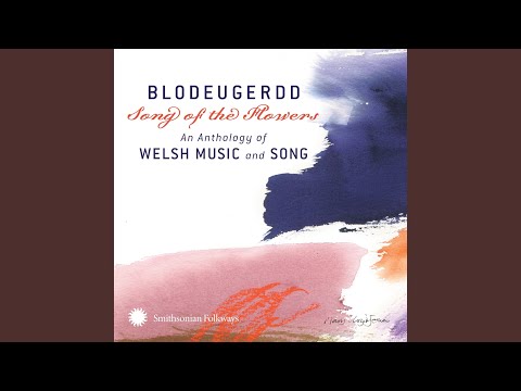 Julie Murphy ft. Sille Ilves & Martin Leamon – “Lisa Lân, Ffoles ...