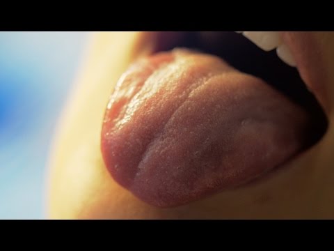 How Do Taste Buds Work?