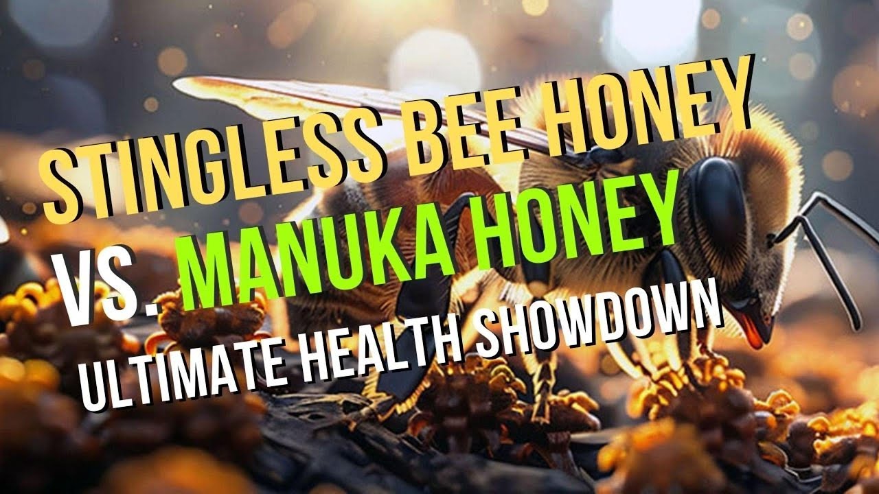 Stingless Bee Honey vs  Manuka Honey Which One Offers More Holistic Health Benefits