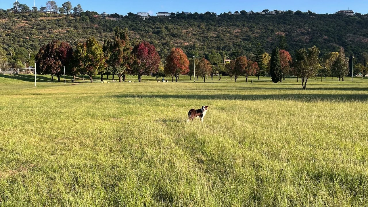 Handwritten Notes - Eyes (Demo)