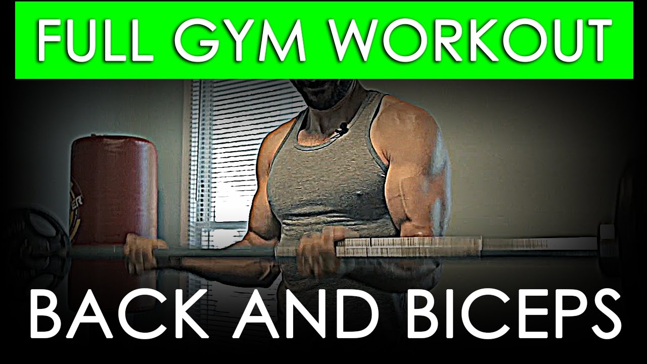 Full Gym Workout - Pull Day - Back Biceps and Obliques - Build Back Muscles and Bigger Biceps