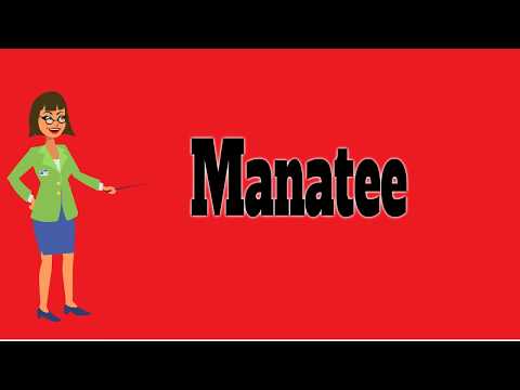 Manatee | Pronunciation | Meanings | Examples | Definition | Animals Name