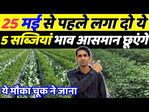 25 मई से पहले लगादो ये पाँच सब्जियां भाव बढ़ने वाले हैं | May me konsi sabji lagaye | Sabji ki kheti