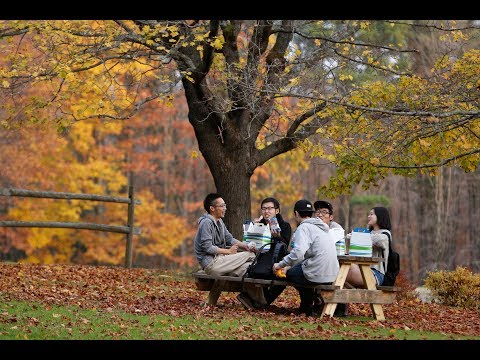 Welcome to SUNY Oneonta: International Students