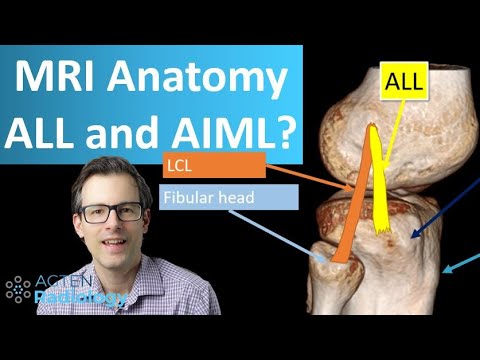 Knee MRI anatomy: Anterolateral Ligament and AIML