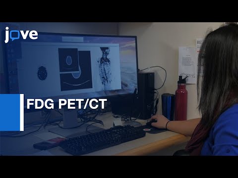 FDG PET/CT for Brown Adipose Tissue Quantification | Protocol Preview
