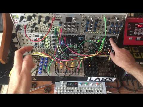 Alizon Devices Noisewasp eurorack (4ms Noise Swash clone) | Reverb