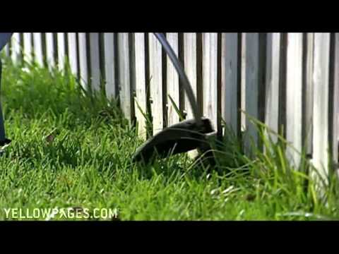 Blue Grass Lawn Care and Landscape
