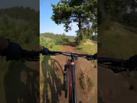 #ciclismo #mtb #shortvideo #gopro #montaña #trail #giant #bike #fathom